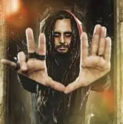 Gallery - Whiteboard Fox